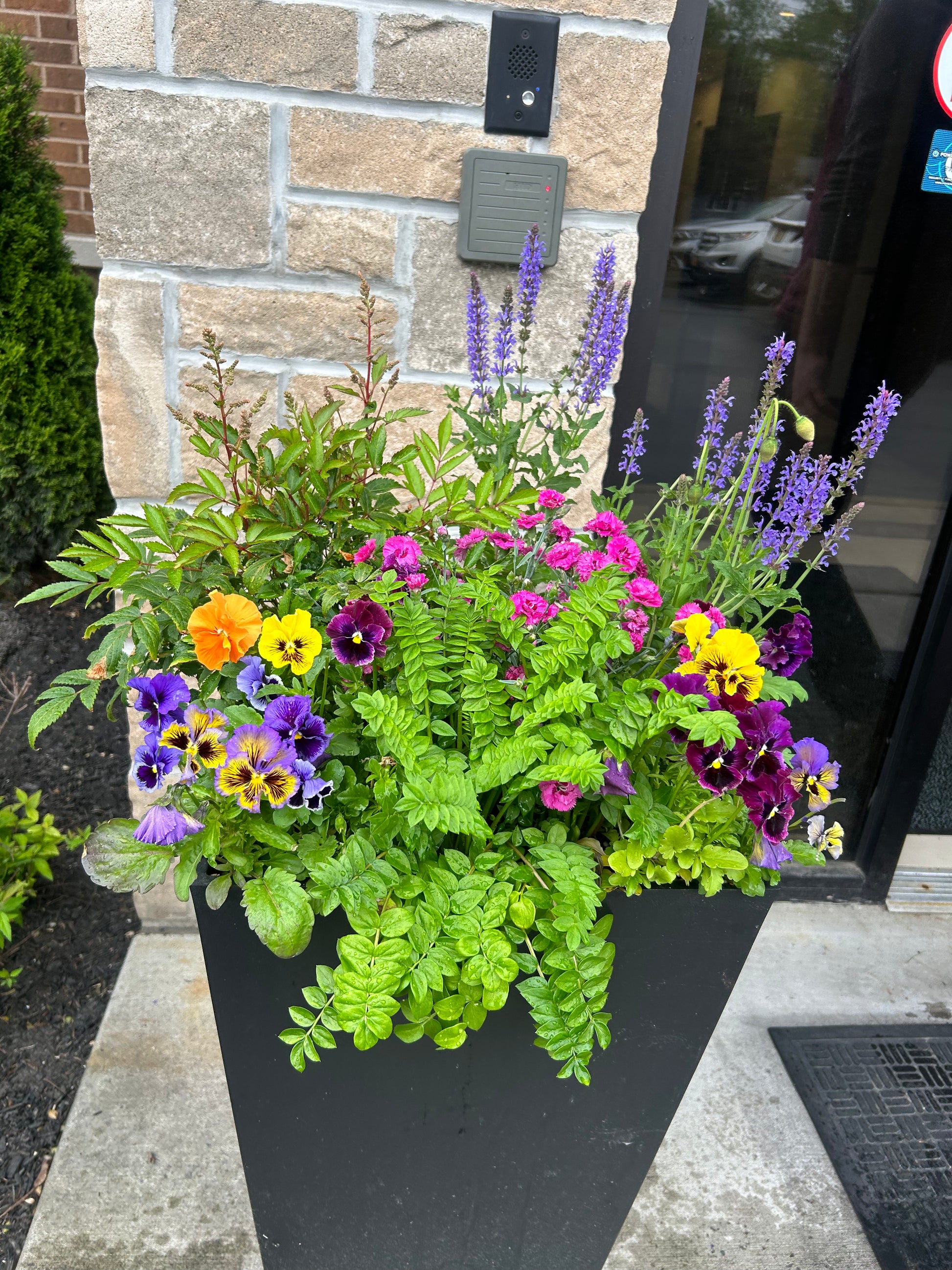 Spring planters – Roadside Flower Bar